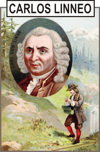 Linneo: Su vida Profesional – Linneo SRL – Extractos Naturales